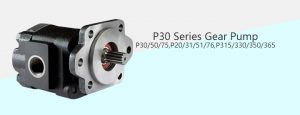 P30/50/75,P20/31/51/76,P315/330/350/365 Series Hydraulic Oil Rotary ...